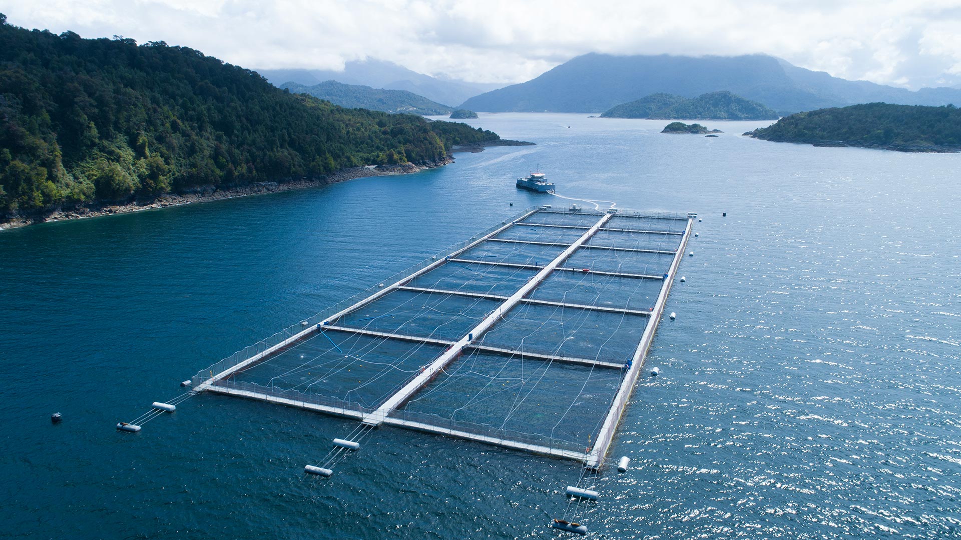 Tecnología en Nanoburbujas | ChucaoTech